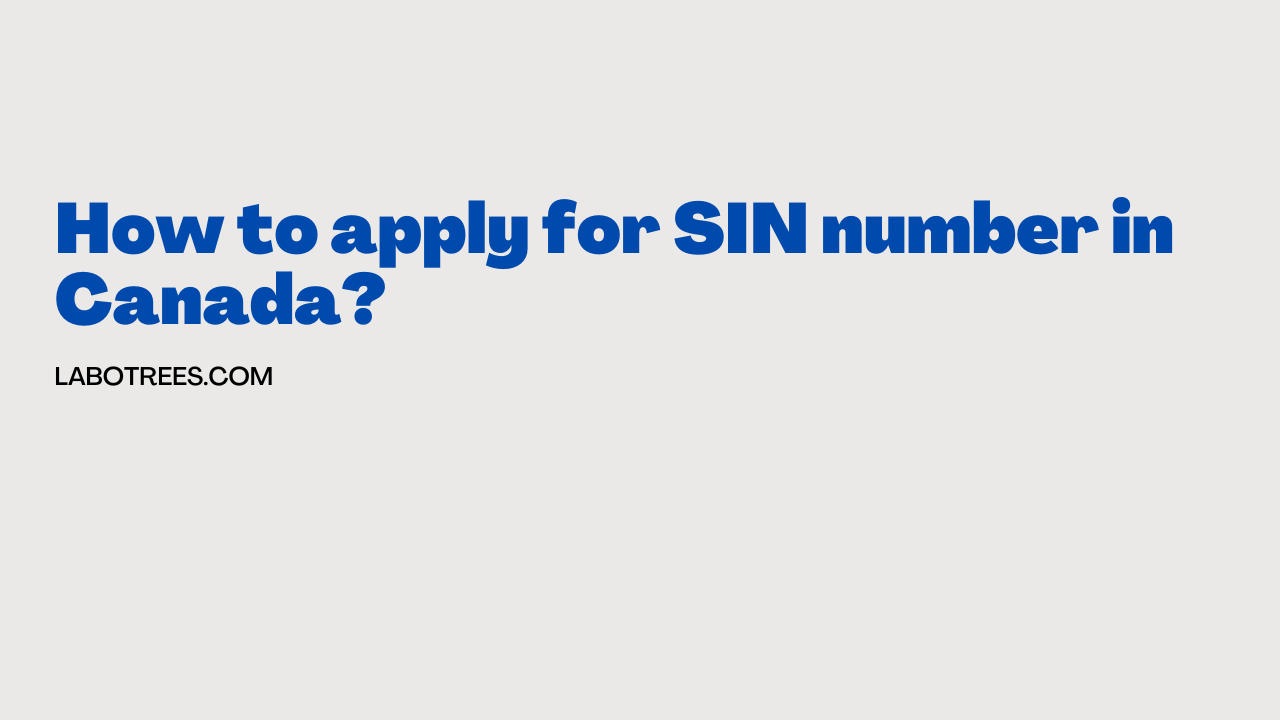 A Step By Step Guide: How to apply for SIN number in Canada? | Labotrees